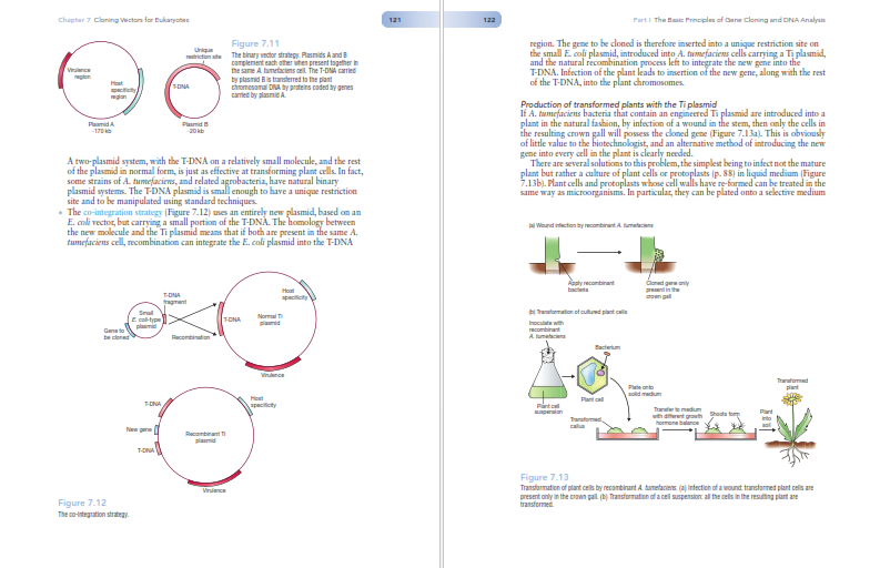 دانلود فایل کتاب PDF Gene Cloning And Dna Analysis Seventh Edition